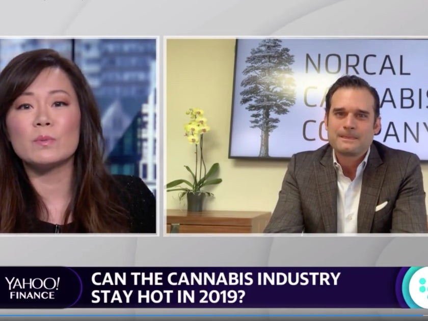 Norcal Cannabis CEO on 'Budding' Future of Marijuana – norcal-cann